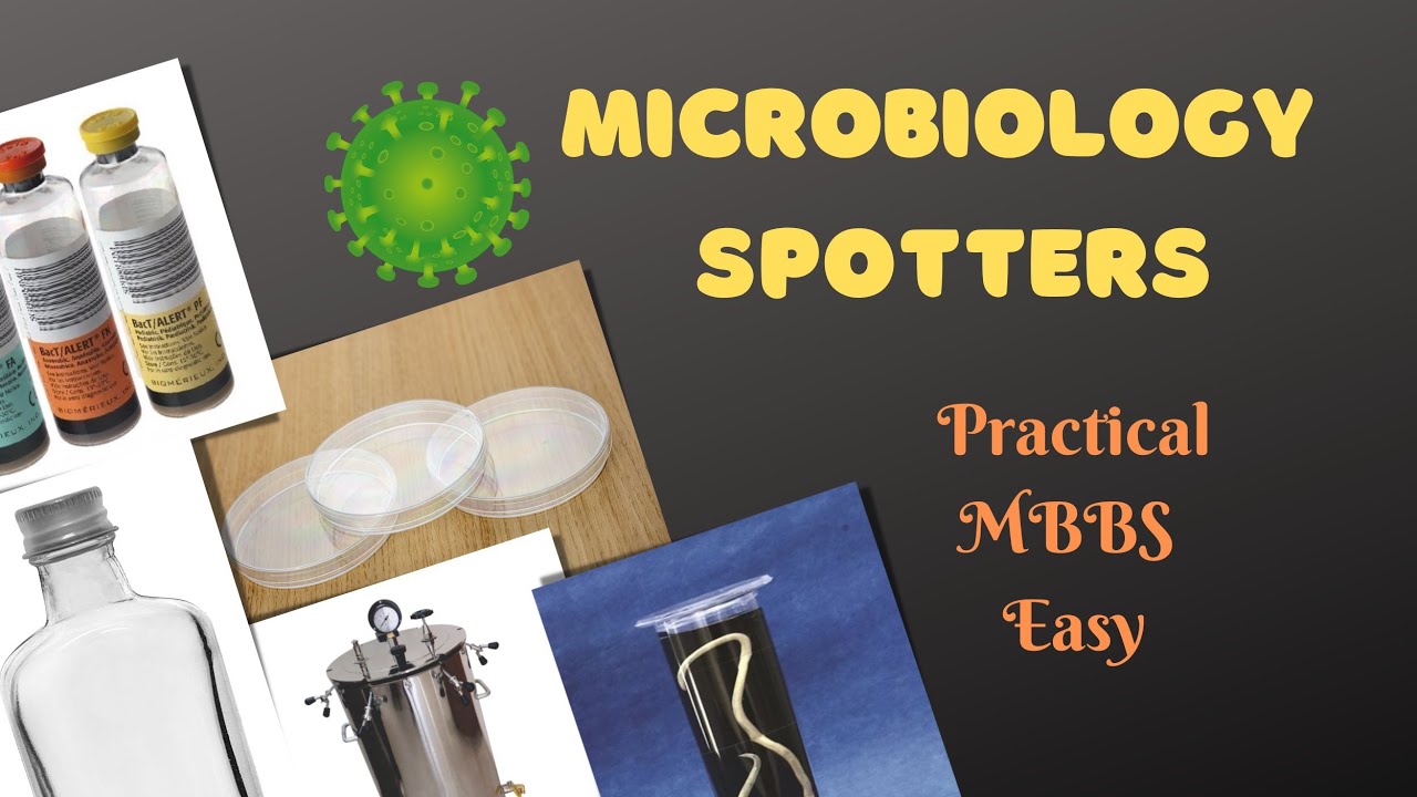 MICROBIOLOGY SPOTTERS | PRACTICAL MBBS | SPOTTING - YouTube