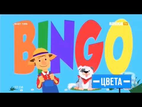 Super Simple Songs - Bingo (Official Music Video) - YouTube