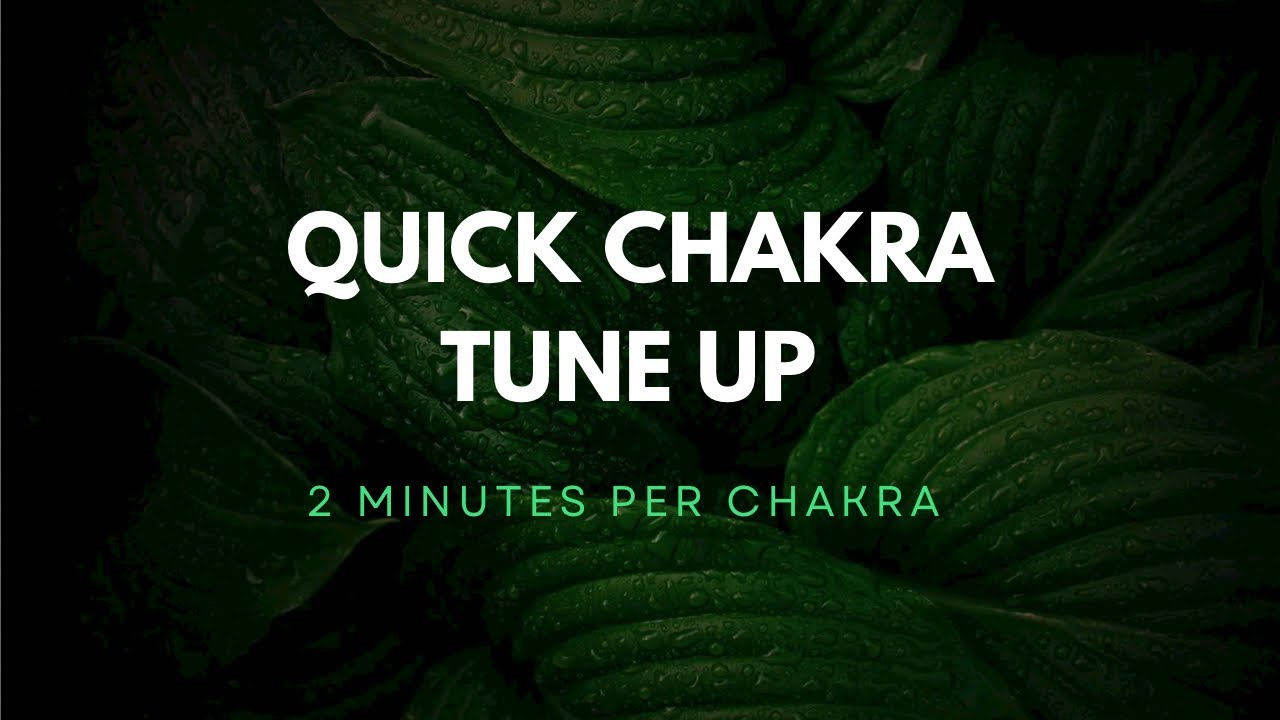 Quick 7 Chakra Tune Up | 2 Min Per Chakra | Healing Frequencies - YouTube