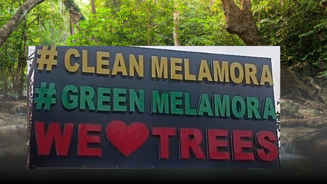 আজি আহিচো পাৰ্ক ক লে#clean melamora #green melamora ll we love trees 🌲🌴 ...