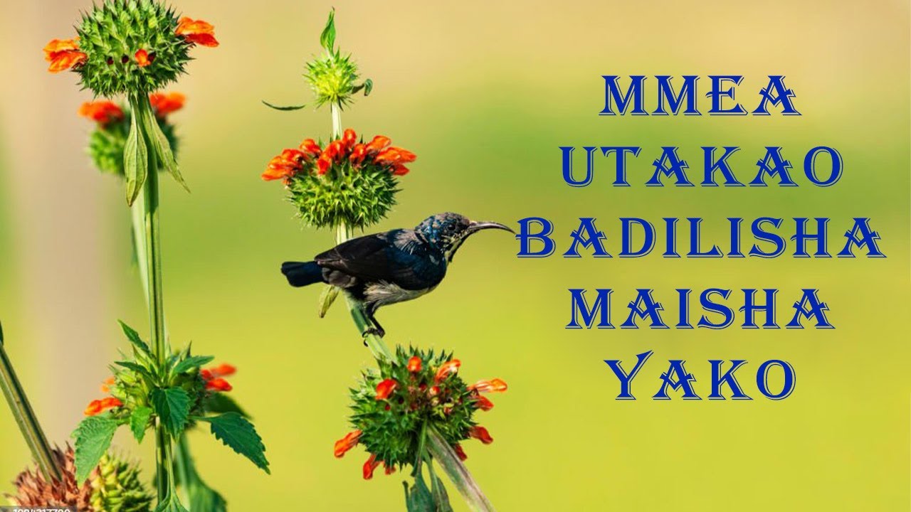 MMEA WA AJABU, WENGI UMEWASAIDIA - YouTube