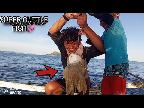 HINDI LUBUS AKALAIN NAMAKA HULI SI IDOL AERON NG CUTTLEFISH SUBRANG ...