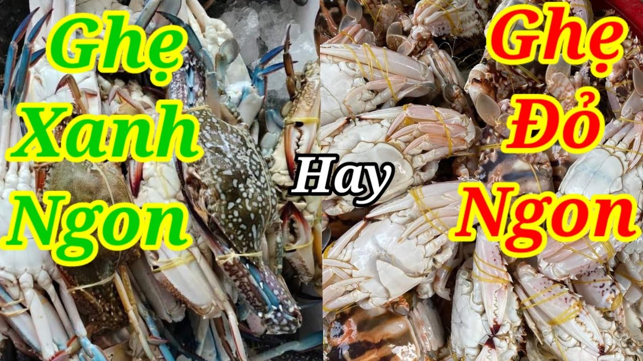 GHẸ CÀNG XANH NGON HAY GHẸ CÀNG ĐỎ NGON /CÁC LÀM GHẸ KHÔNG BỊ MẤT THỊT ...