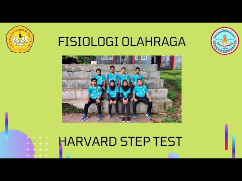 Harvard Step Test | Kelompok 8 | Fisiologi Olahraga - YouTube