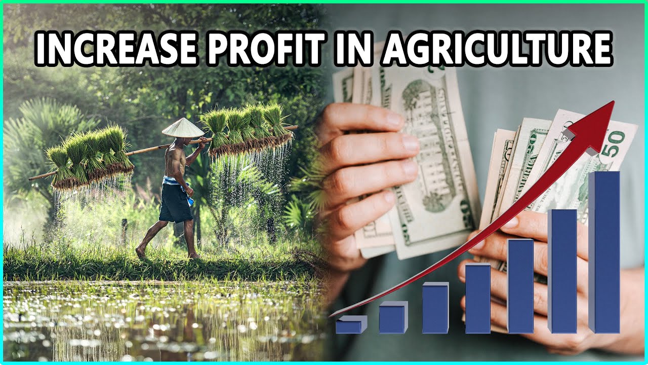 How to Increase Profit in Agriculture | Top Farming Business Ideas for ...