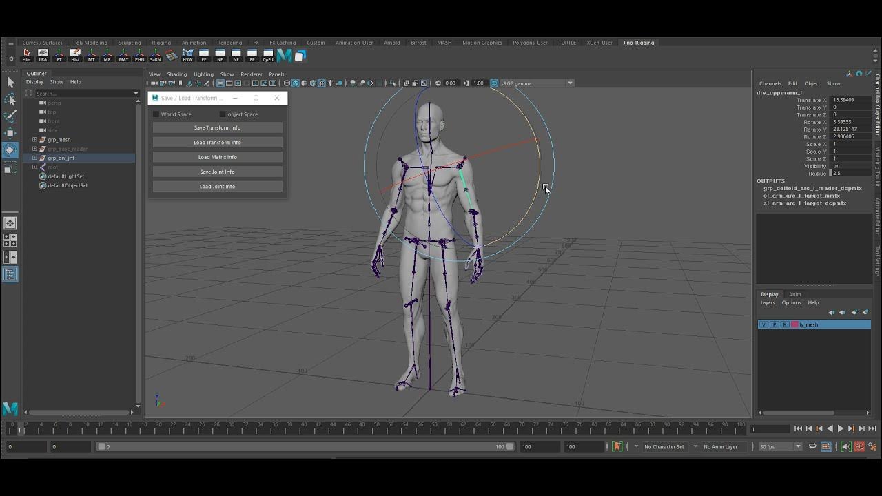 Maya Auto Rig (Basic Human) - YouTube
