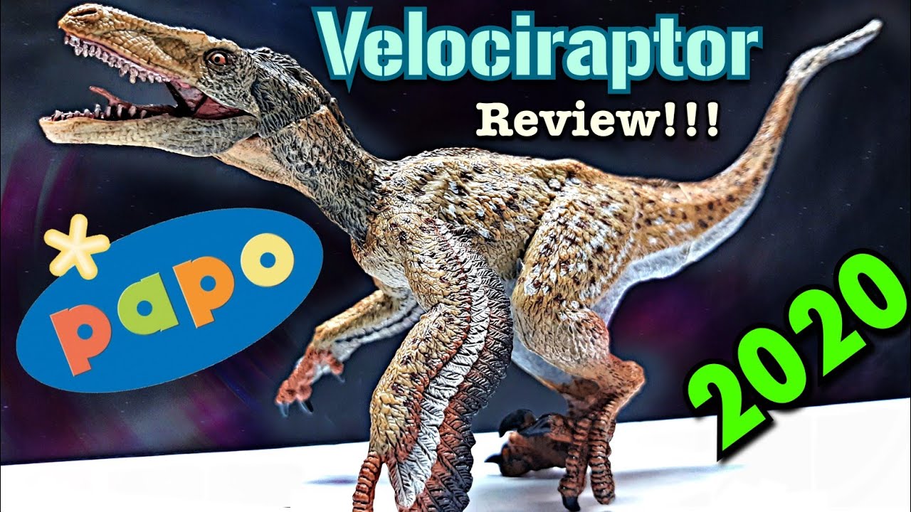 2020 Papo "Female" Velociraptor Review!!! - YouTube