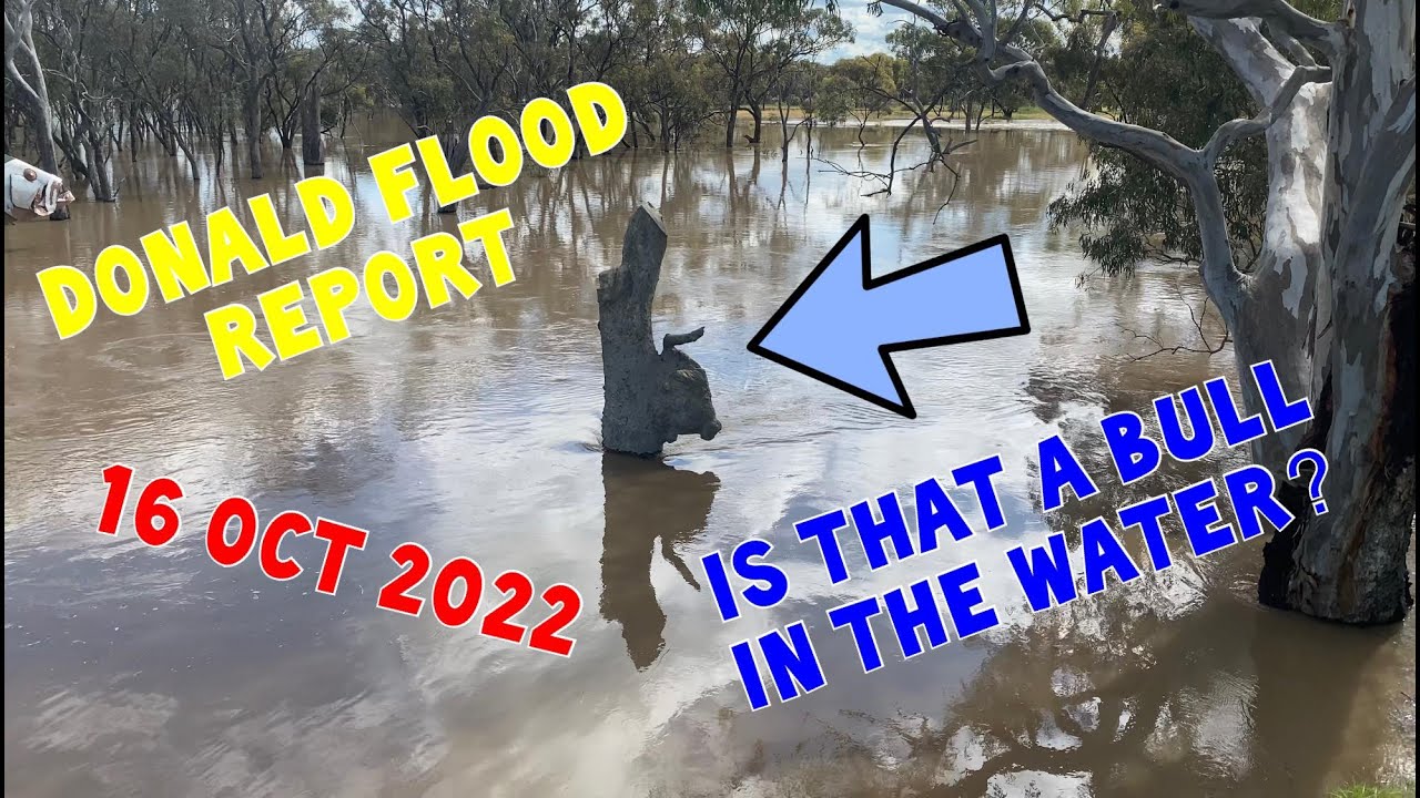 16 July 2022 Donald Flood Report - YouTube