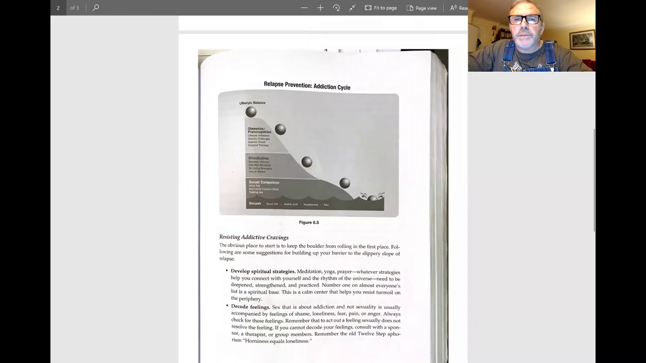 Anatomy of a Relapse from Patrick Carnes - YouTube