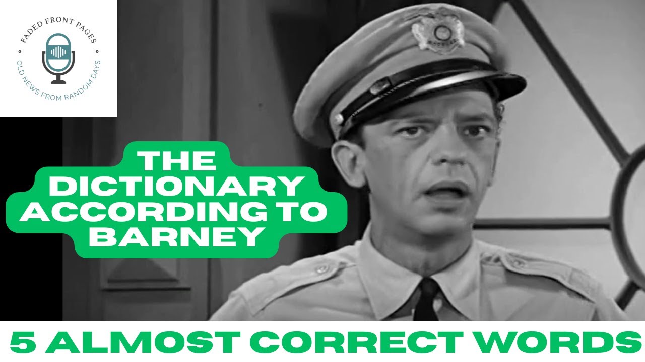 5 Words Barney Almost Said Correctly: The Dictionary According to ...