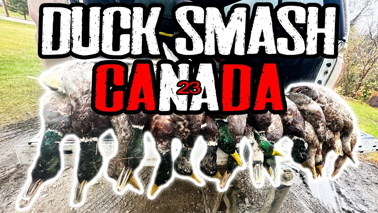 DUCK HUNT in the RAIN and MUD - Duck Hunting CANADA - YouTube
