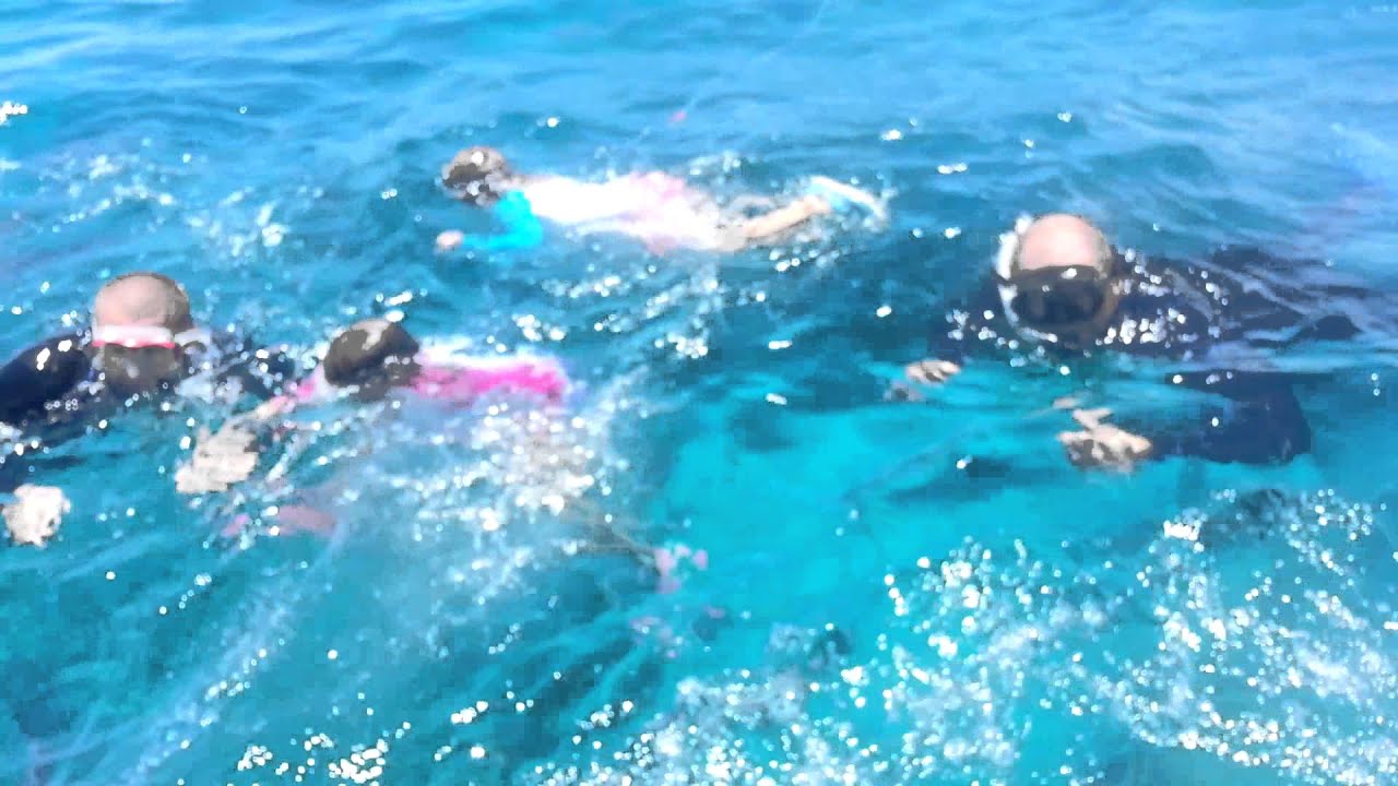 Swimming with the fishes - YouTube
