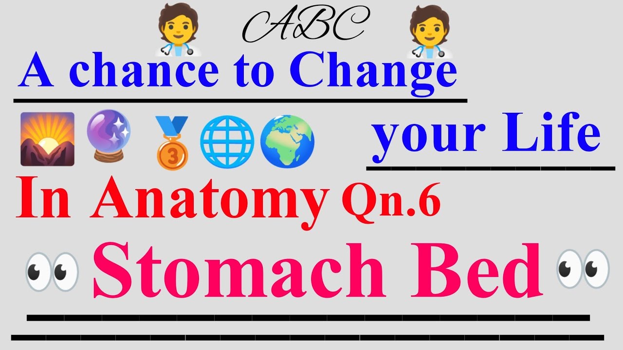 Stomach Bed What is stomach Bed , formed by which organs - YouTube