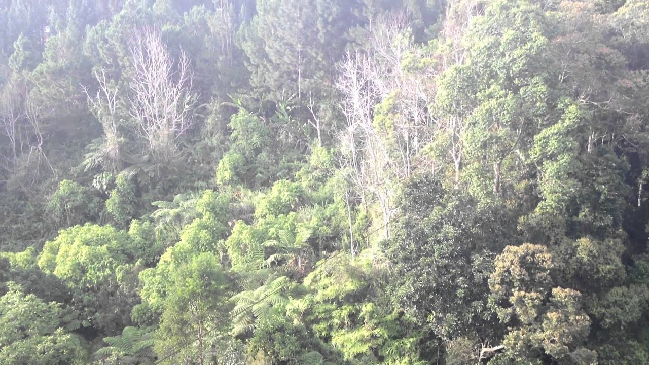 Camp Sabros Zipline! - YouTube