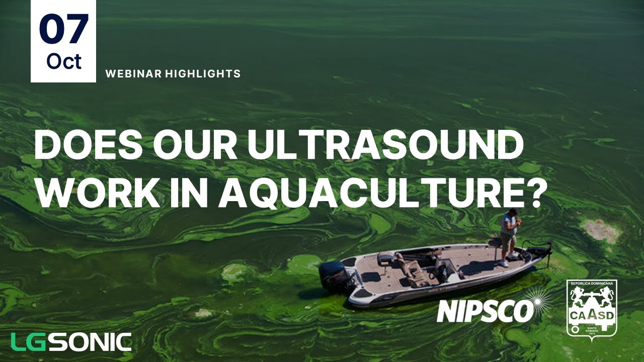 [Webinar] Does our ultrasound work in aquaculture? - YouTube
