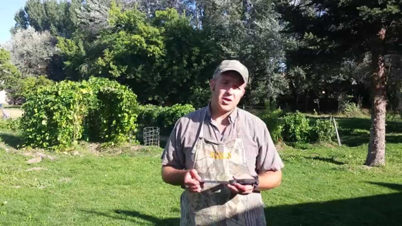 Processing a Turkey Start to Finish at HDH Part 1 - YouTube