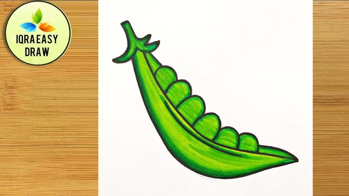 Green Beans Drawing