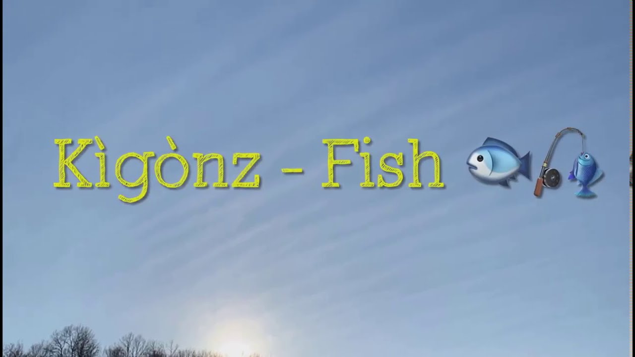 Algonquin Language Lesson - #42 - Fish - YouTube
