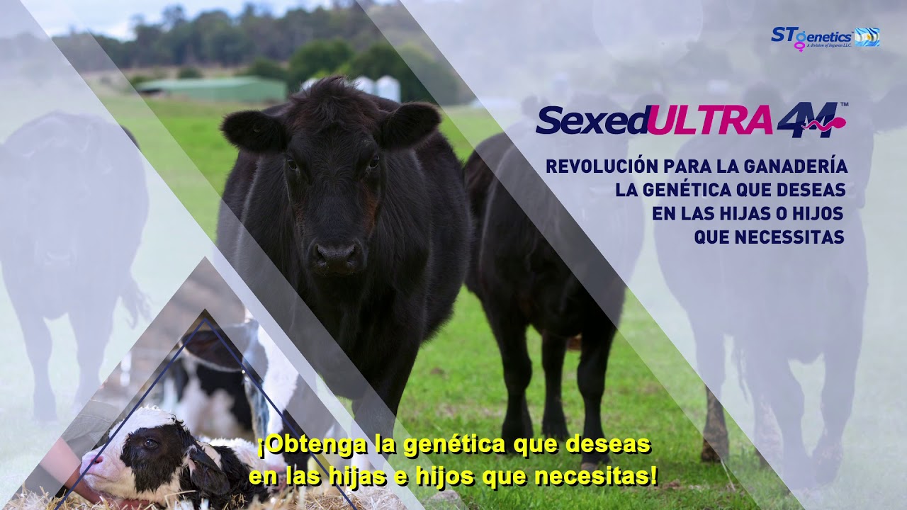 VIDEO INSTITUCIONAL • ST GENETICS ARGENTINA • 2017 - YouTube