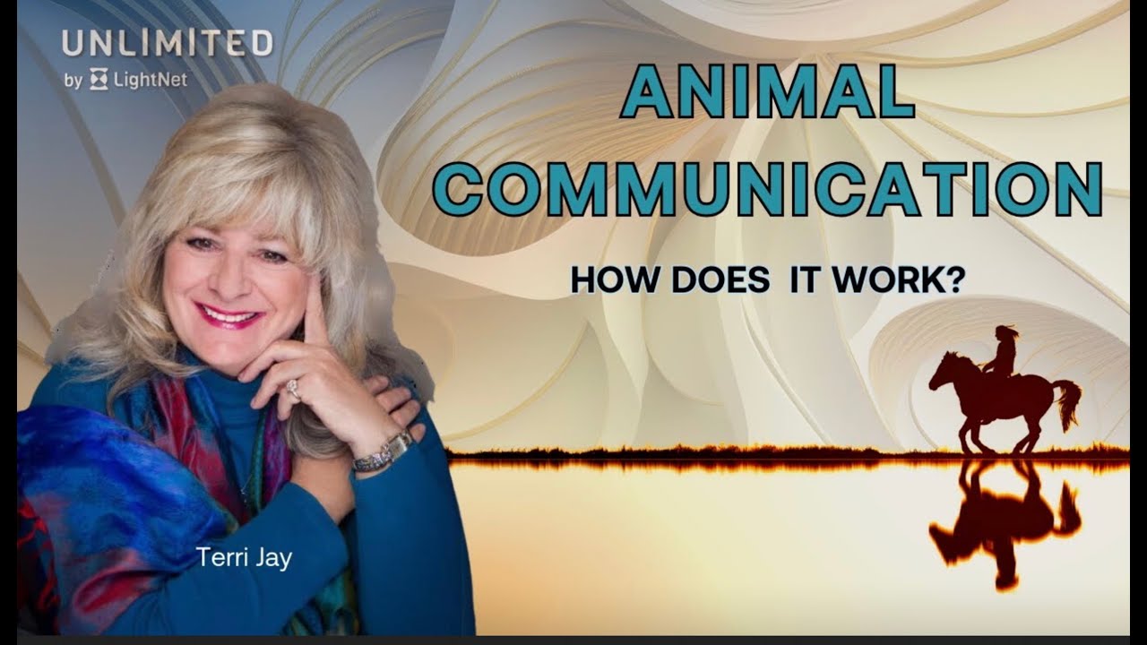 Animal Communication How It works with Terri Jay - YouTube