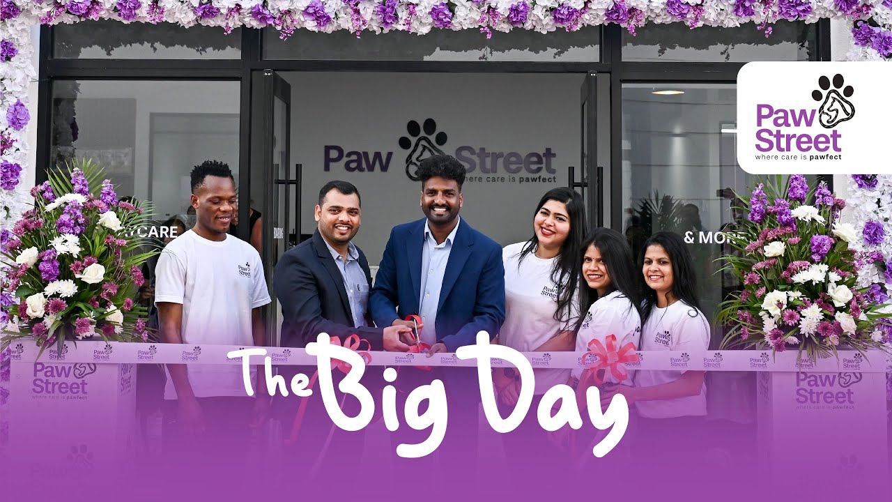 Paw Street | Grand Opening | Pet Fashion Show | Paw Street Dubai | Pet ...