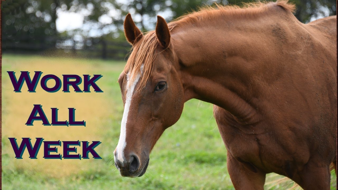 Remembering Work All Week - YouTube