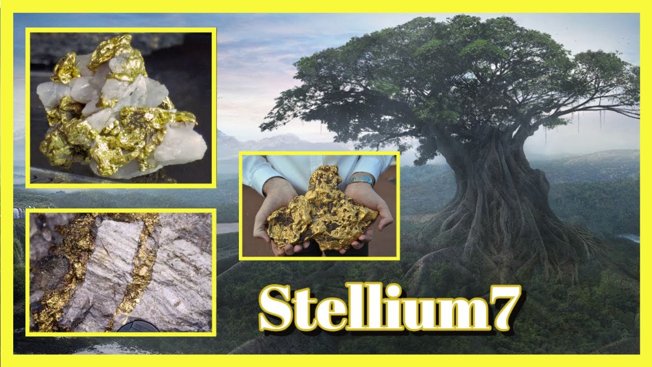 THE TITANIC TREES MADE GOLD! - YouTube