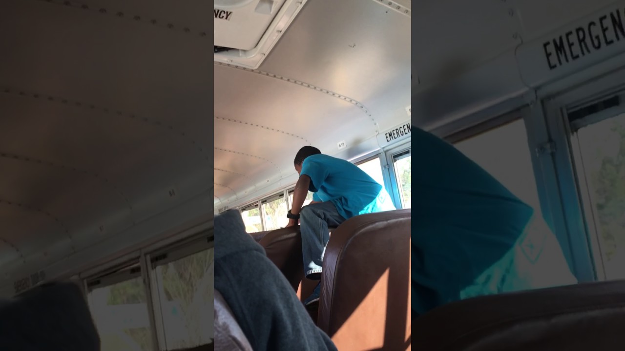 This is what happens on the back of the bus - YouTube