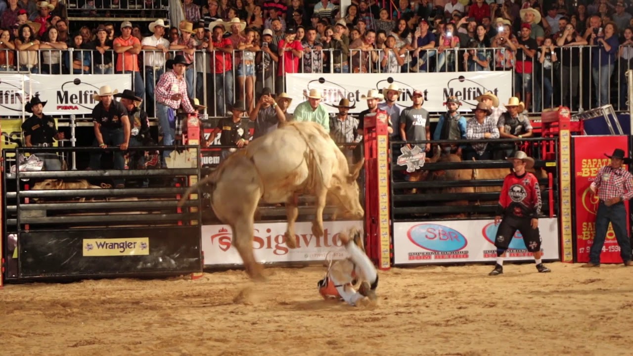 Melhor Touro do 1º Round do Jales Rodeio Show 2019 - YouTube
