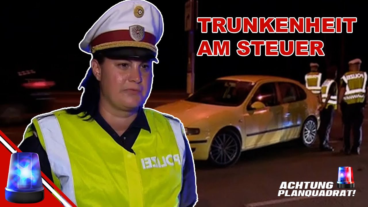 F hrerschein Weg Fahrer Unterwegs Mit 0 8 Promille Achtung