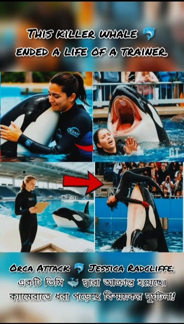 "The HORRIFYING Last Moments of Orca Trainer Jessica Radcliffe |#shorts ...