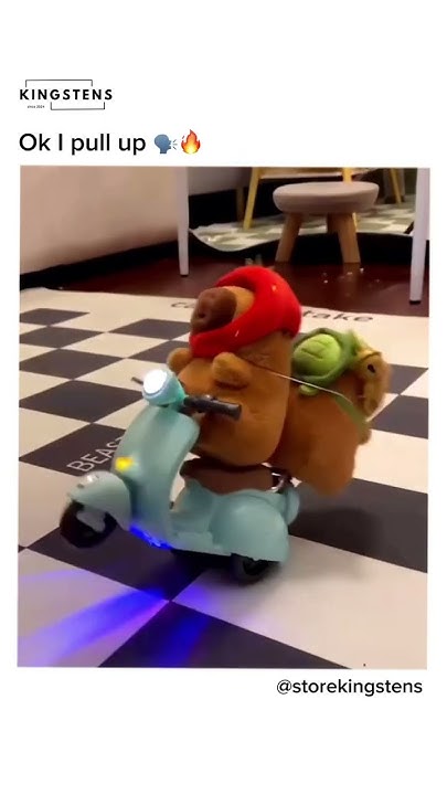 Let Capy Cook 🔥 Capybara Funny Fyp Trending Youtube