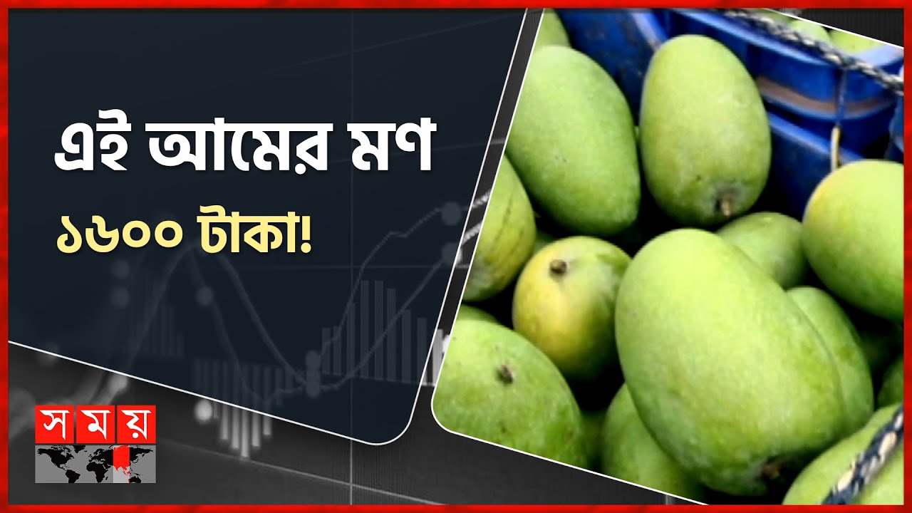 রাজশাহীর বাজারে নামল গোপালভোগ | Gopal Bhog Mango | Baneshwar Market ...