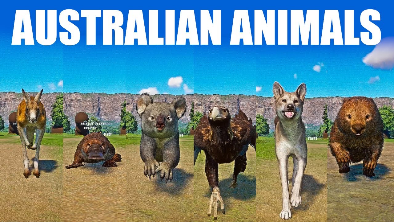 Australian Animals Speed Races in Planet Zoo included Eagle, Dingo ...
