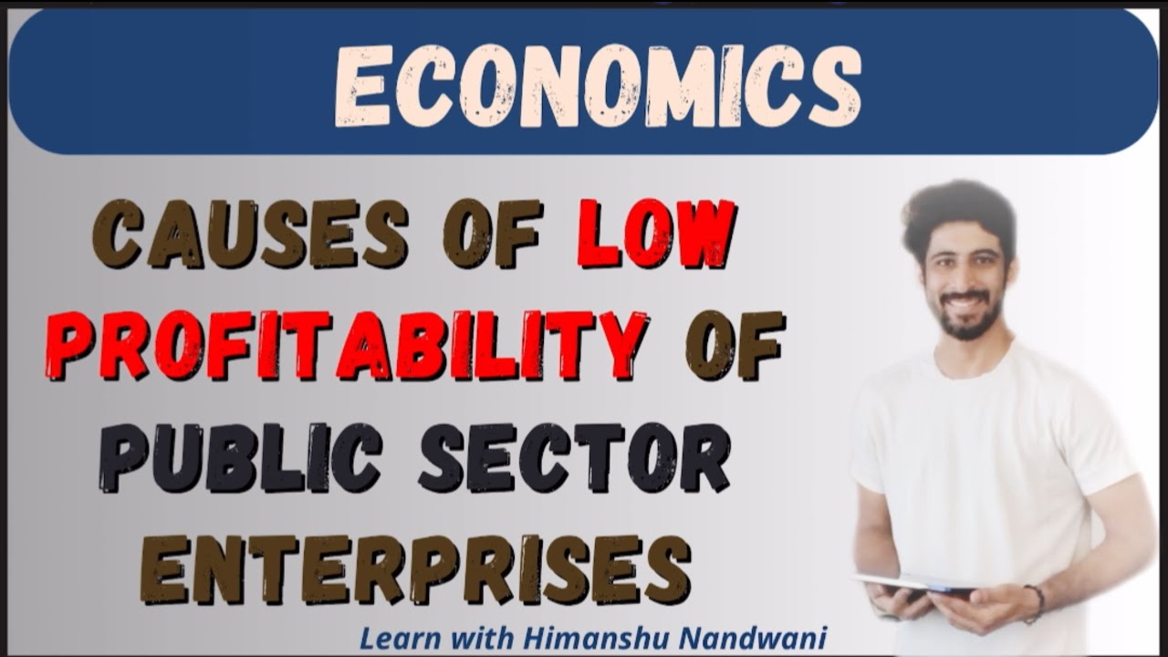 Causes of Low poor performance of public sector enterprises | Economics ...