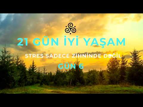 Gün 6: Stres Sadece Zihninde Değil| Ayşe Tolga 21 Gün İyi Yaşam
