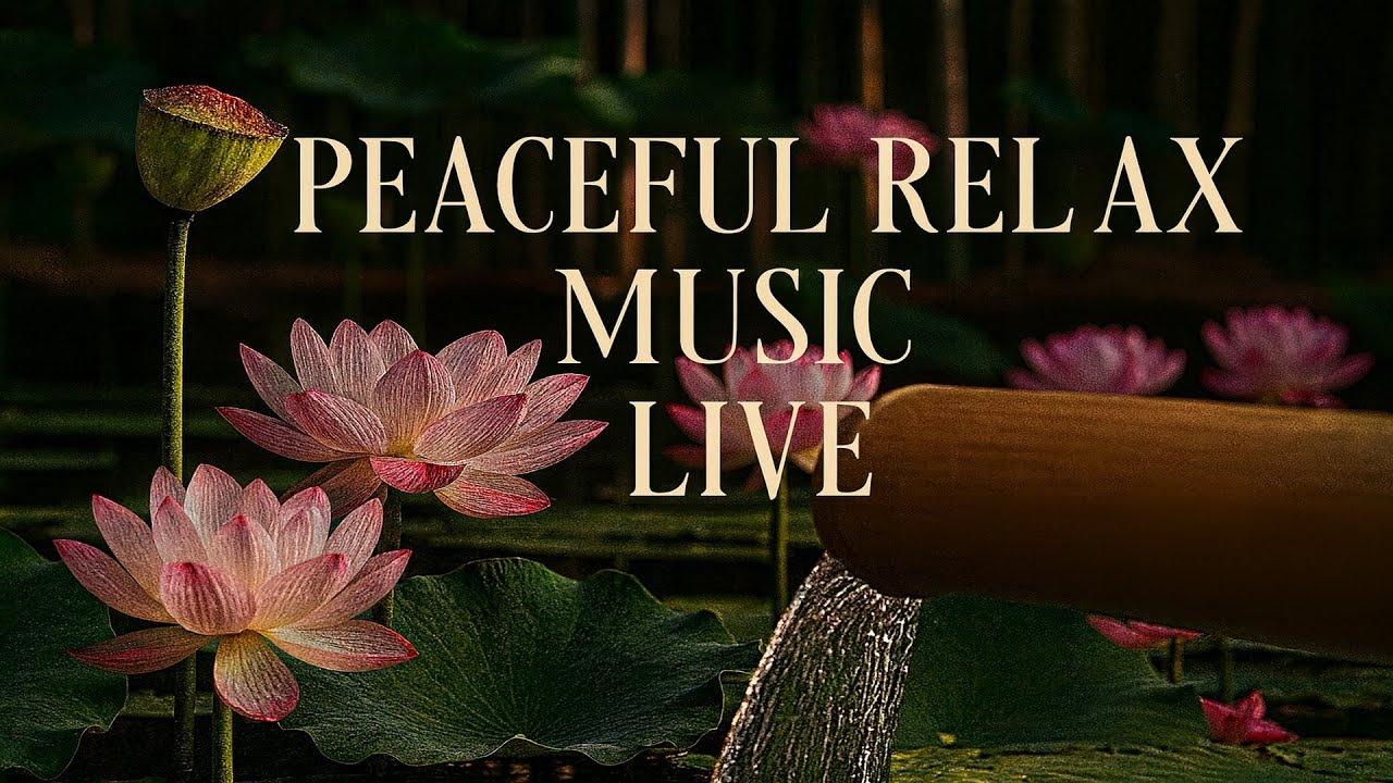 Peaceful Relax Music Live #relaxmusic #livestream #calmingmusic # ...