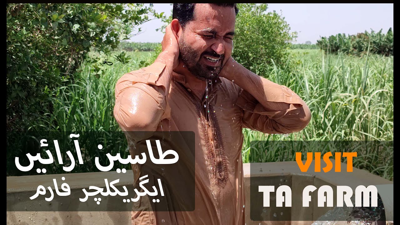 Visit TA Farm | tubewell Vlog |with yameen arain | taseen arain ...