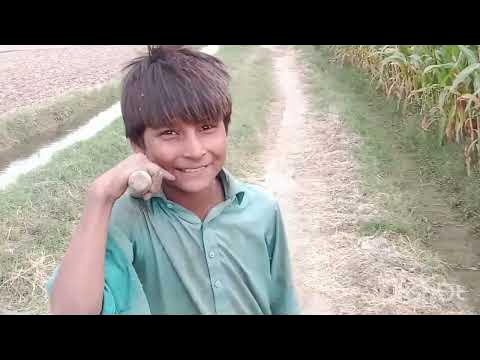 Khet ko Pani lagaya - YouTube