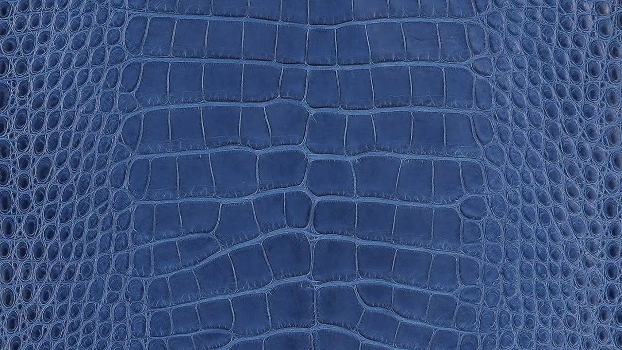 Alligator Denim Blue Matte - YouTube
