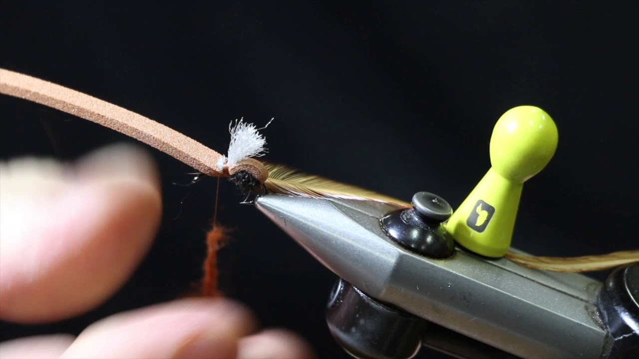 Blue Ribbon Flies Stubby Ant - YouTube