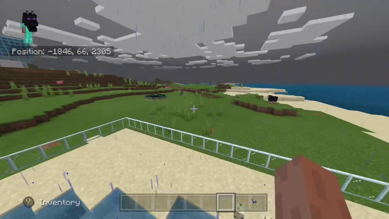 Dolphins angry (Minecraft) - YouTube