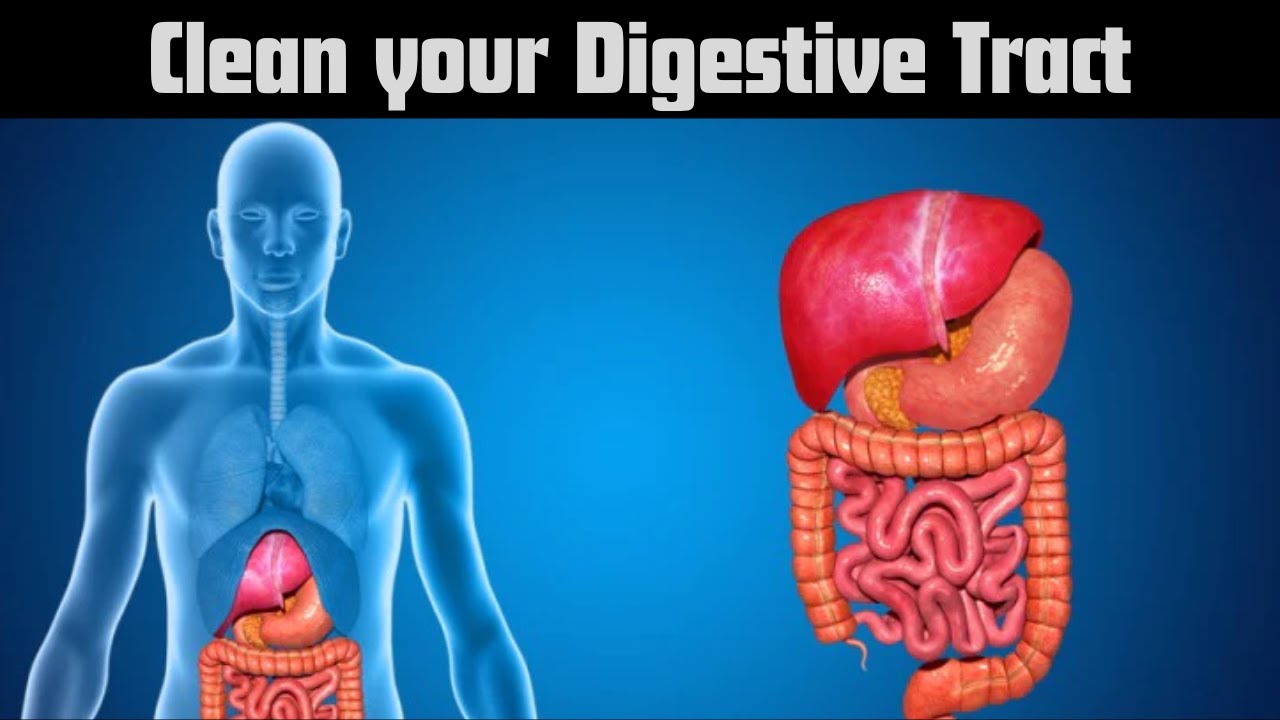 How To Clean Your Digestive Tract |Urdu/Hindi| Nutritionist Haris Anees ...