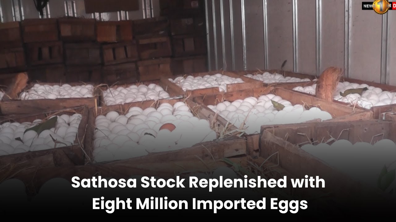 Sathosa Stock Replenished with Eight Million Imported Eggs - YouTube