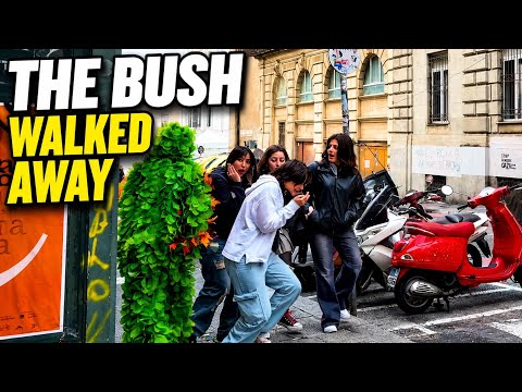 Bushman prank: THE BUSH WALKED AWAY! 😭 #bushmanprank #funny #fun