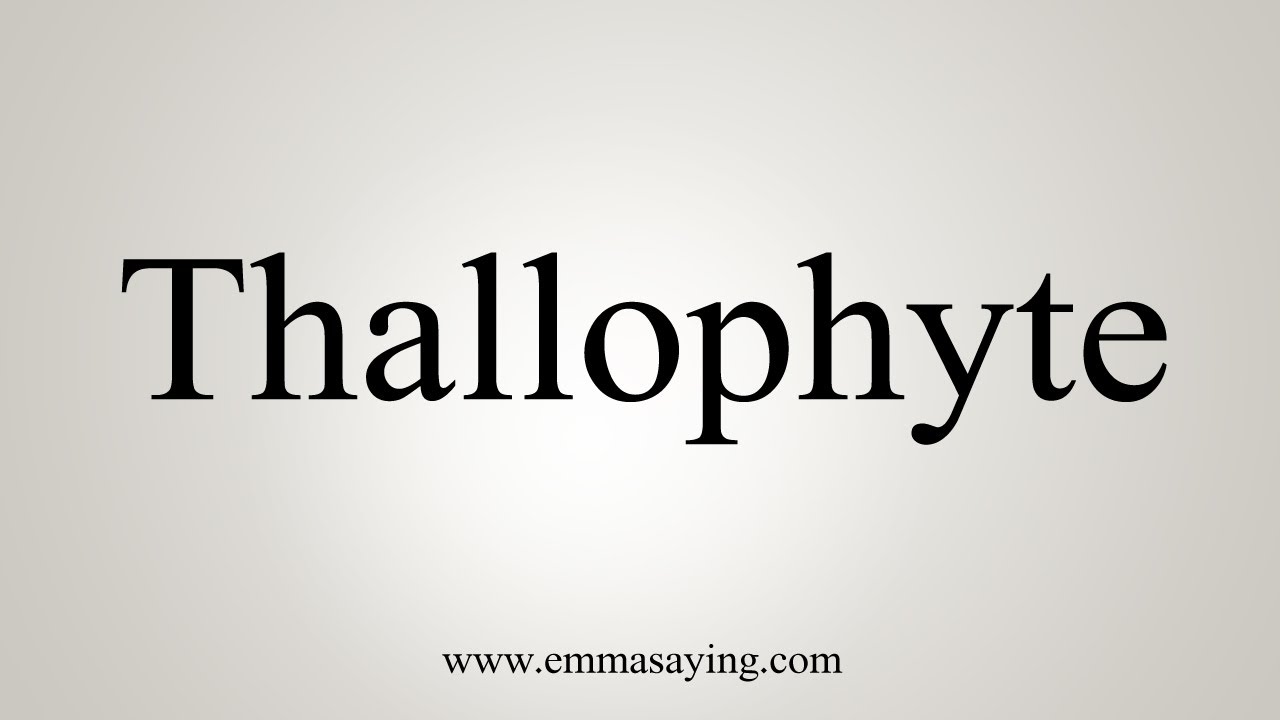 How To Say Thallophyte - YouTube
