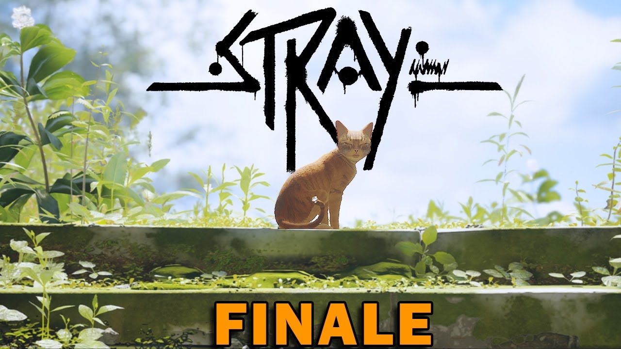 I Finally Beat Stray - YouTube