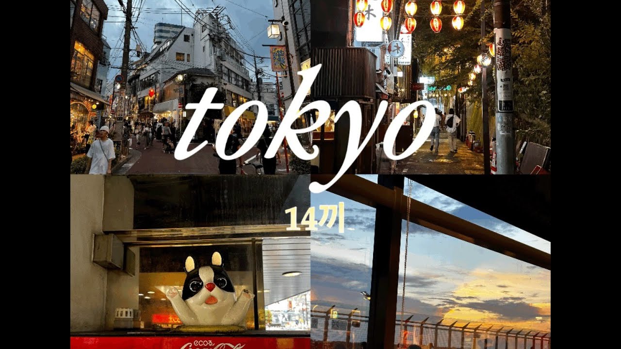 Tokyo 14끼 🥢💕 | 츠루동탄 | 와인런드리 | 시루베 | 미야시타파크 | 츠케멘야스베에 | 시모키타자와 숨은 골목골목 까지... 뜨거웠던 여름이었다 ️🩵 - YouTube
