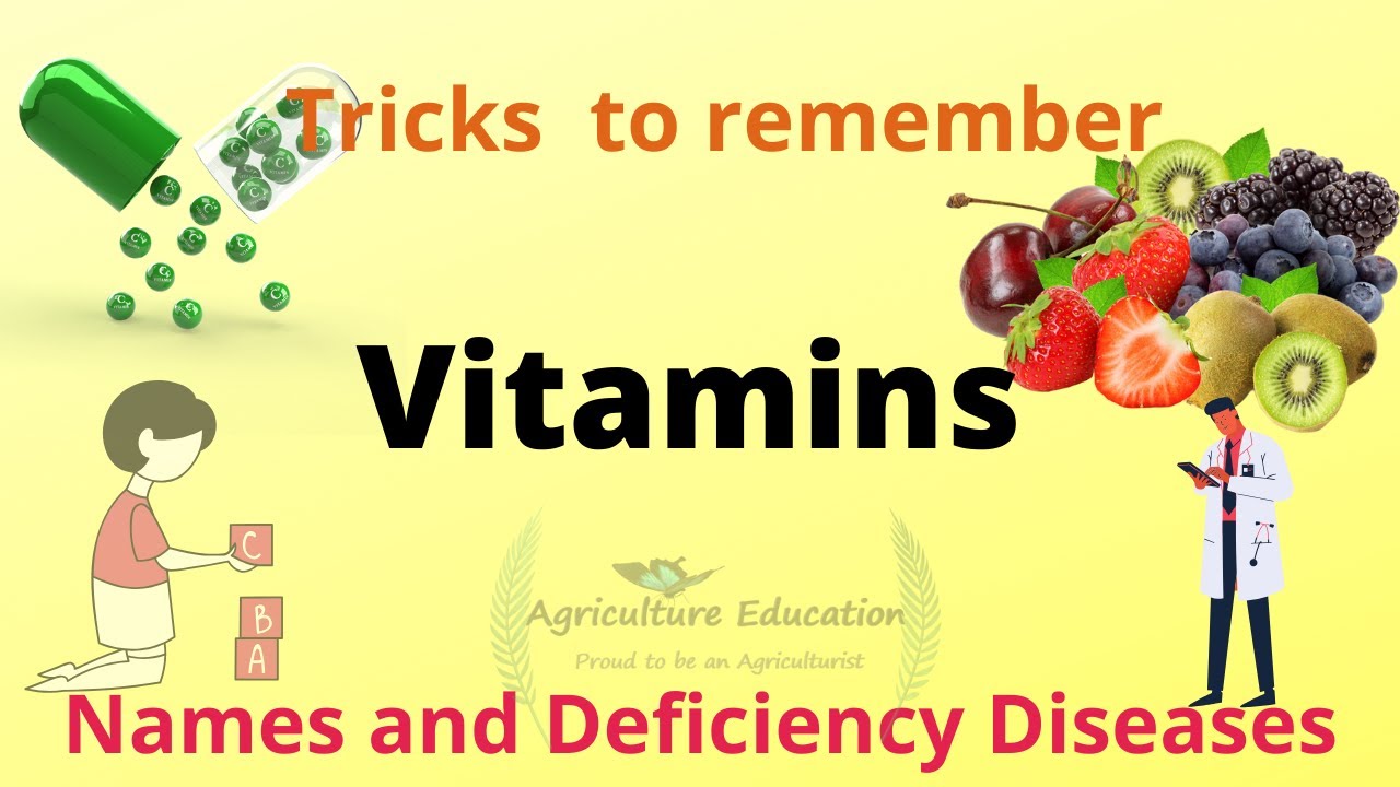 Vitamins, Trick to Remember vitamins names and deficiency disease ...
