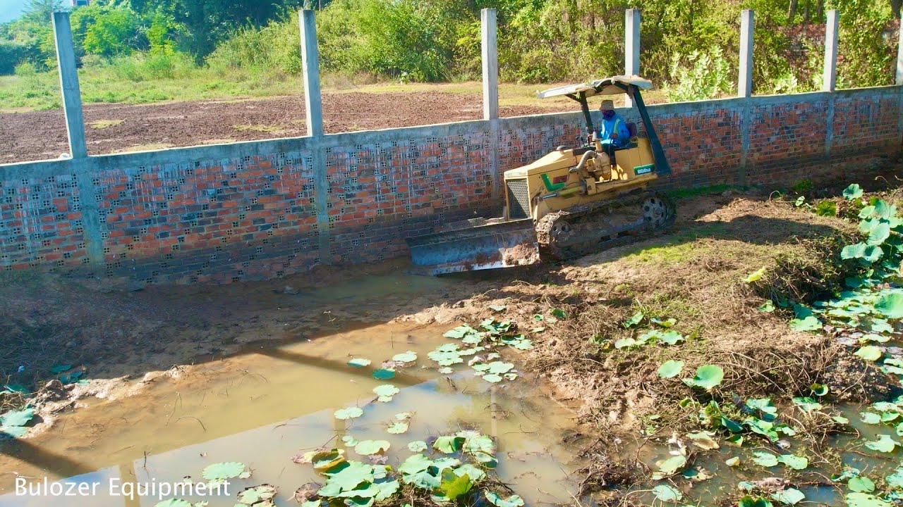 Useful and good activities for Pushing the forest and Pushing The Sill ...